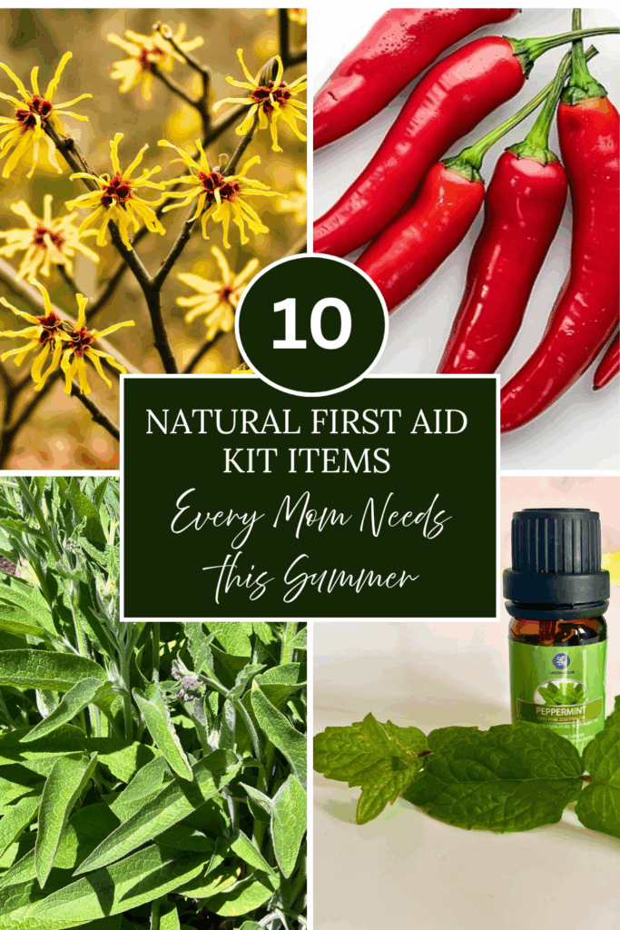 Top 10 Natural First Aid Kit Items - Whistle's Way